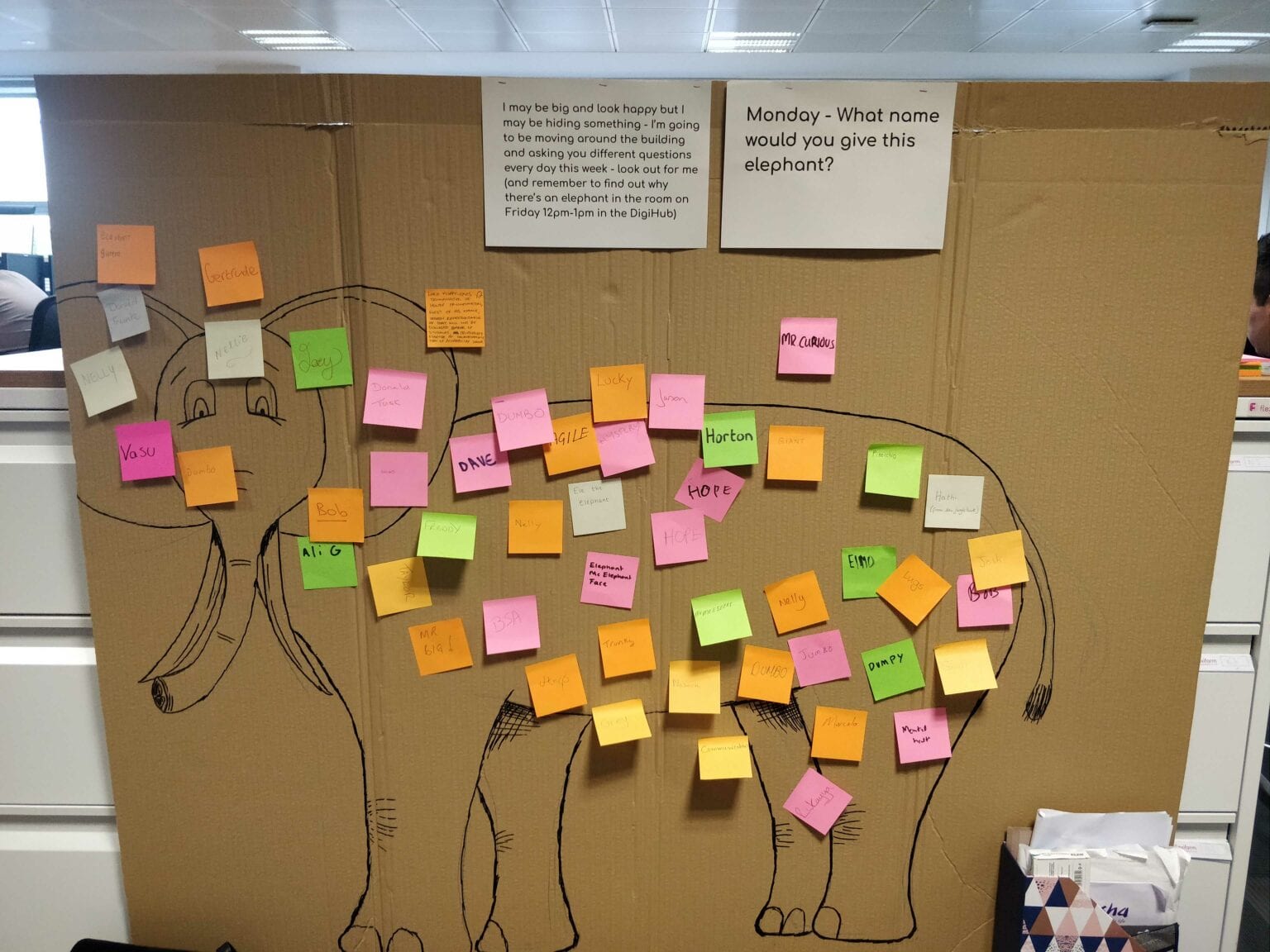 Access needs – Accessibility in government