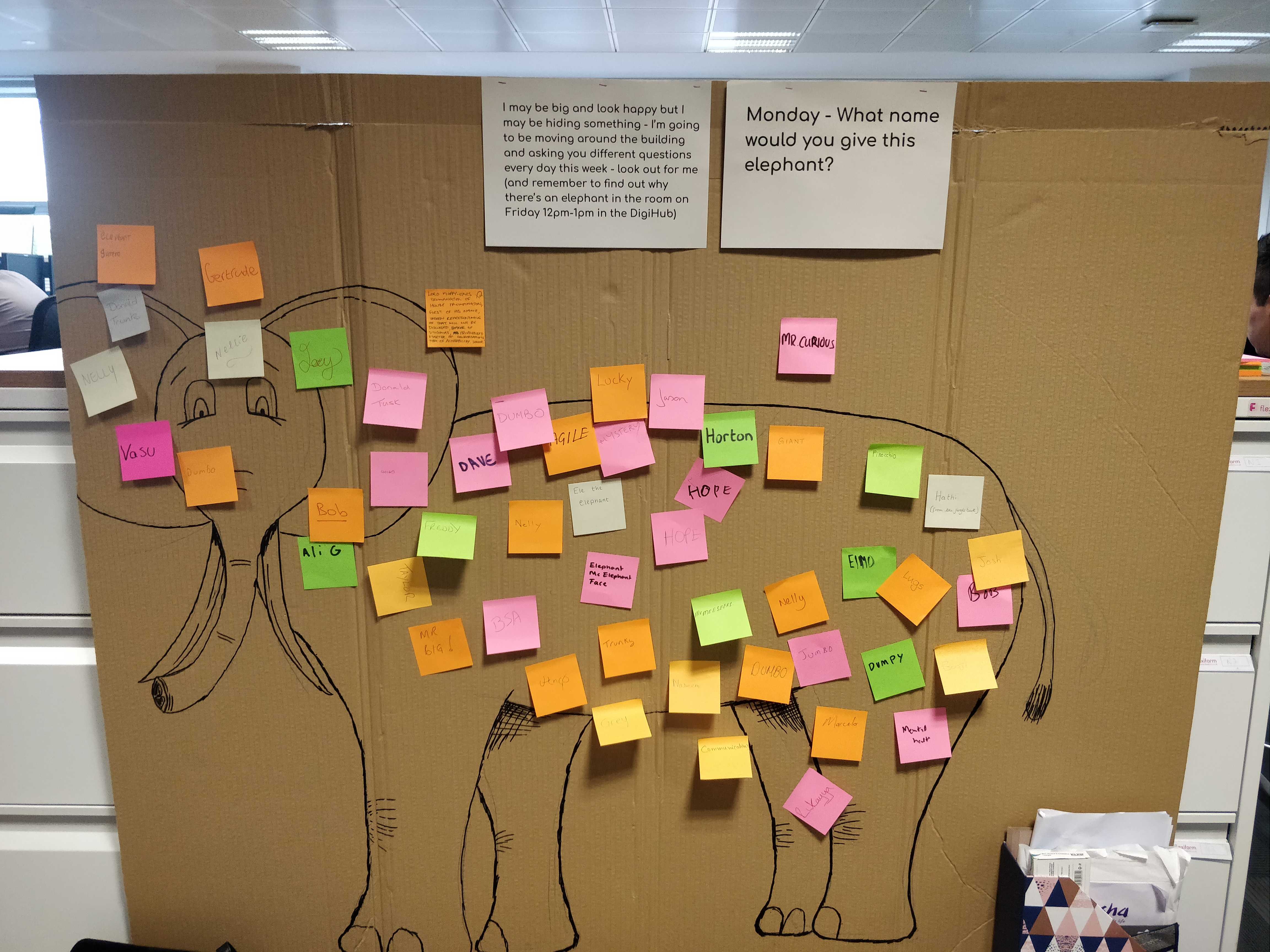 Let’s talk about the elephant in the room: invisible disabilities ...